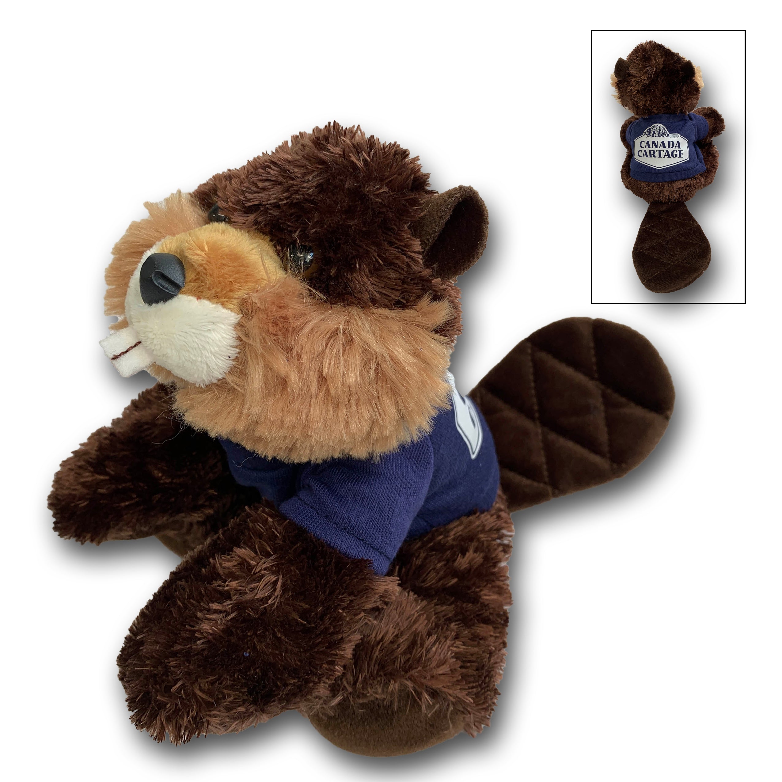 Beaver Plush Toy – Canada Cartage Gear